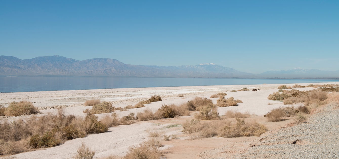Signs of Life Sprout Up Along the Salton Sea - Golden State