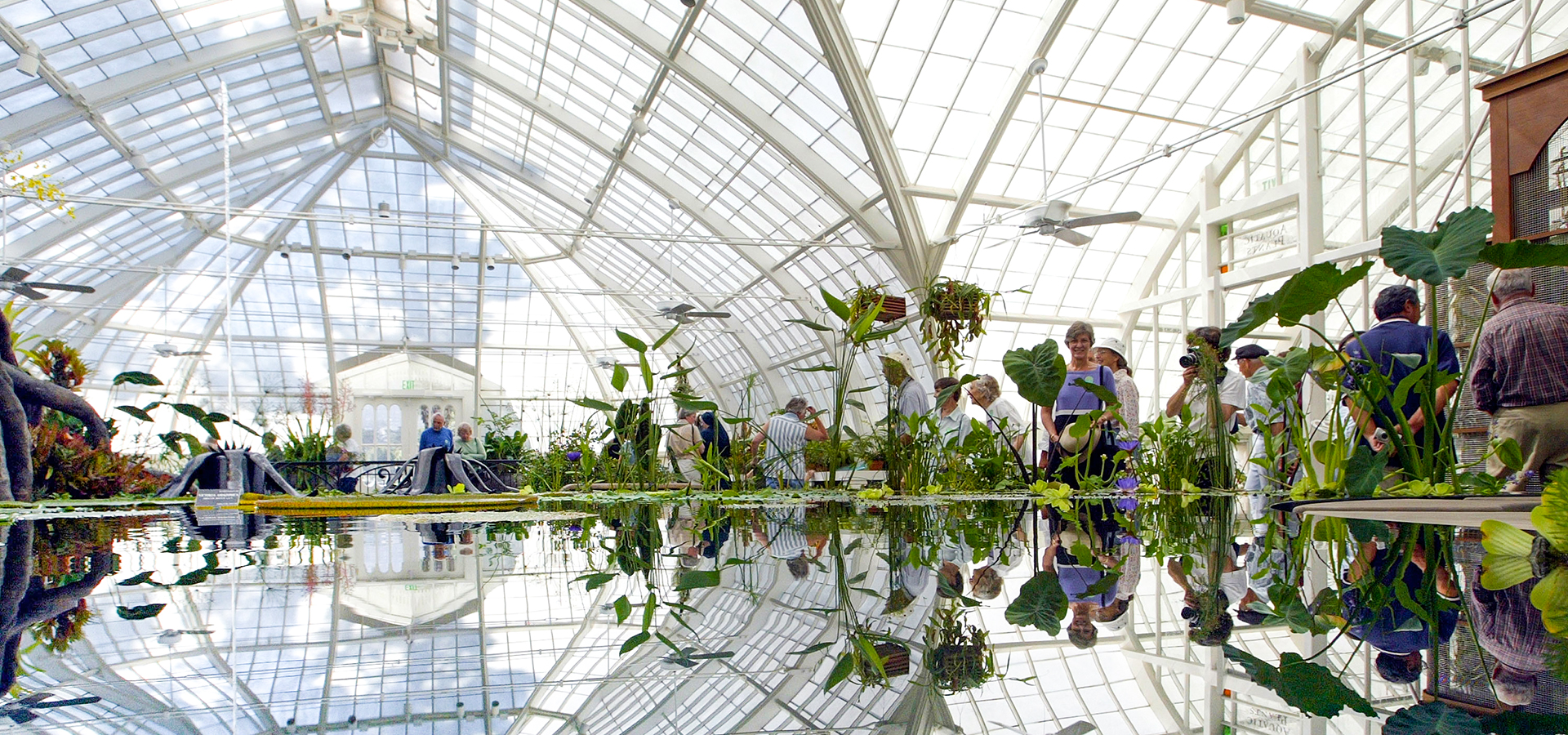 How the Glorious San Francisco Conservatory of Flowers Overcame the ...